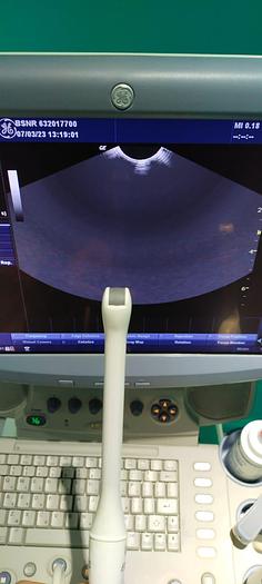 GE E8CS Transvaginal Ultraschallsonde