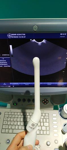 GE E8CS Transvaginal Ultraschallsonde