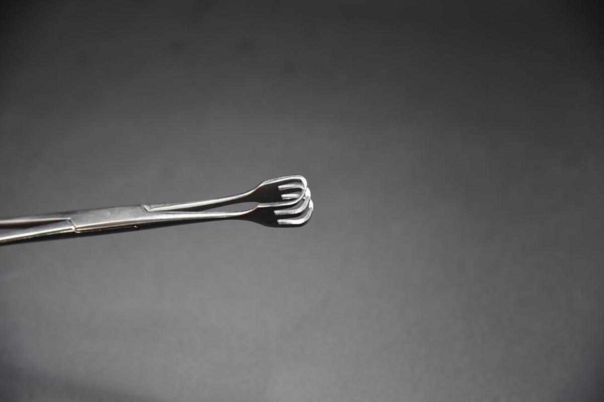 Jarit 150-160 Lahey Traction Forceps 6.25" | Moxie Medical