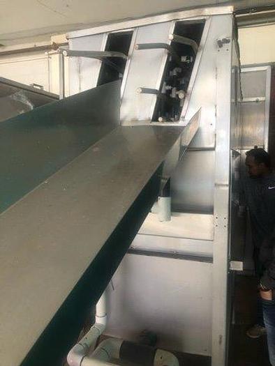 Used Accent SS Berry Tray Washing System for Sale at Steep Hill ...