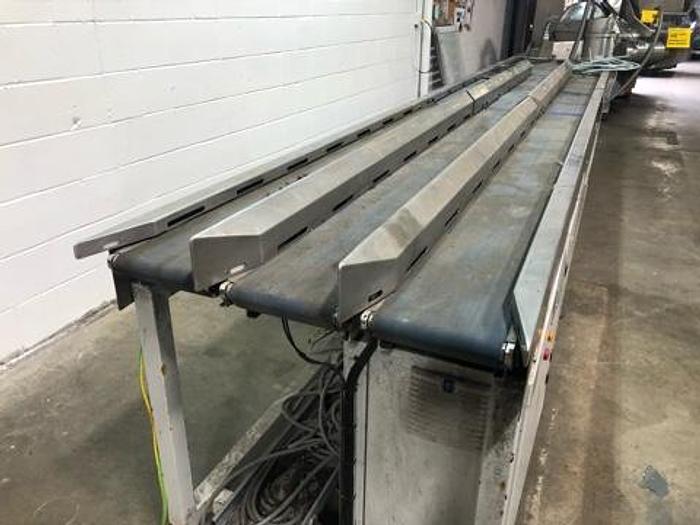 Viscon 17' Checkweigh Line Sigma Conveyor