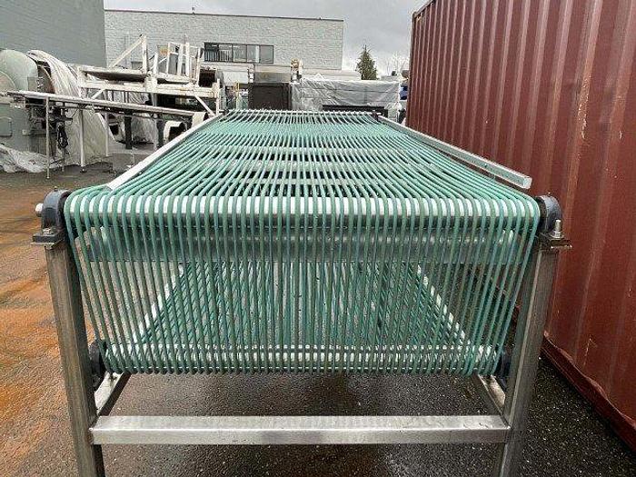 Berry Sizing-Sorting Conveyor