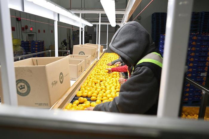 Used Citrus Packing Lines for Sale at Steep Hill Equipment Solutions