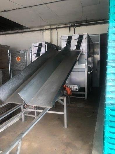 Used Accent SS Berry Tray Washing System for Sale at Steep Hill ...