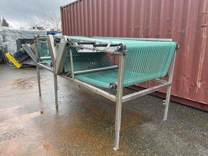 Berry Sizing-Sorting Conveyor