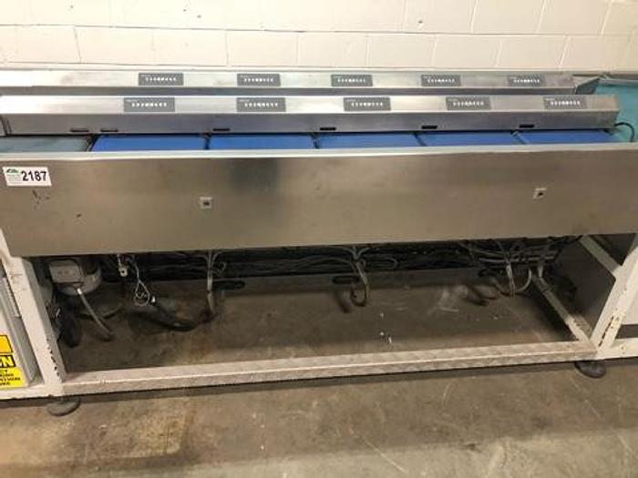 Viscon 17' Checkweigh Line Sigma Conveyor