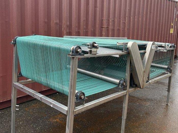 Berry Sizing-Sorting Conveyor