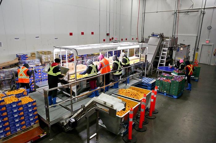 Used Citrus Packing Lines for Sale at Steep Hill Equipment Solutions