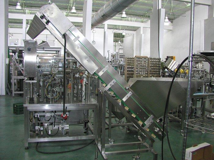 Used Packline PDP-2M Pouch Liquid Filler for Sale at Steep Hill ...