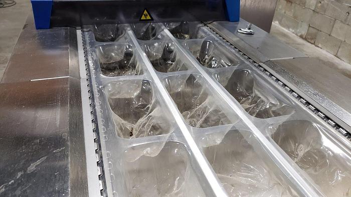 Used Reiser Repak RE20 Thermoformer for Sale at Steep Hill Equipment ...