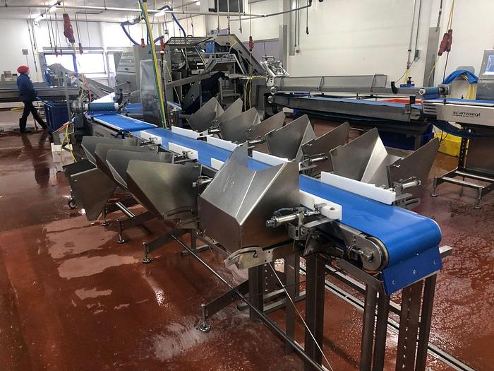 Graders for sale at STC Food Solutions