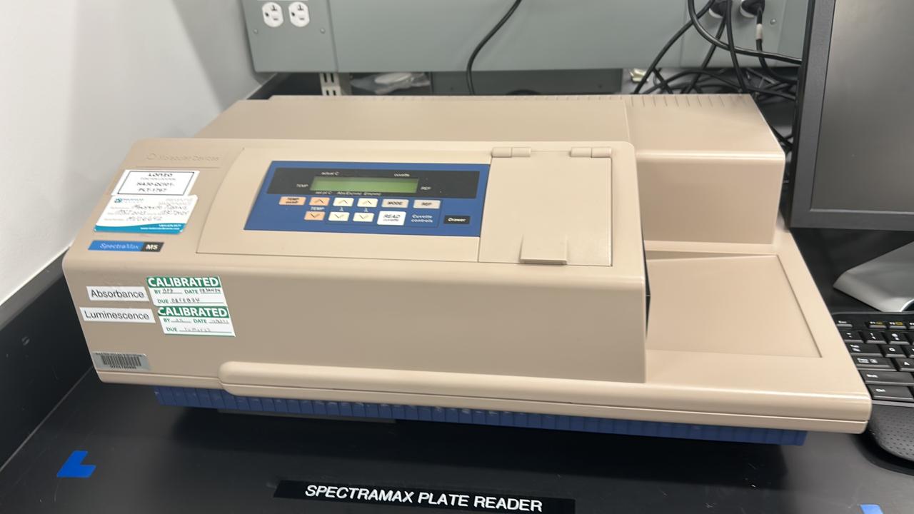 Perfection Processing