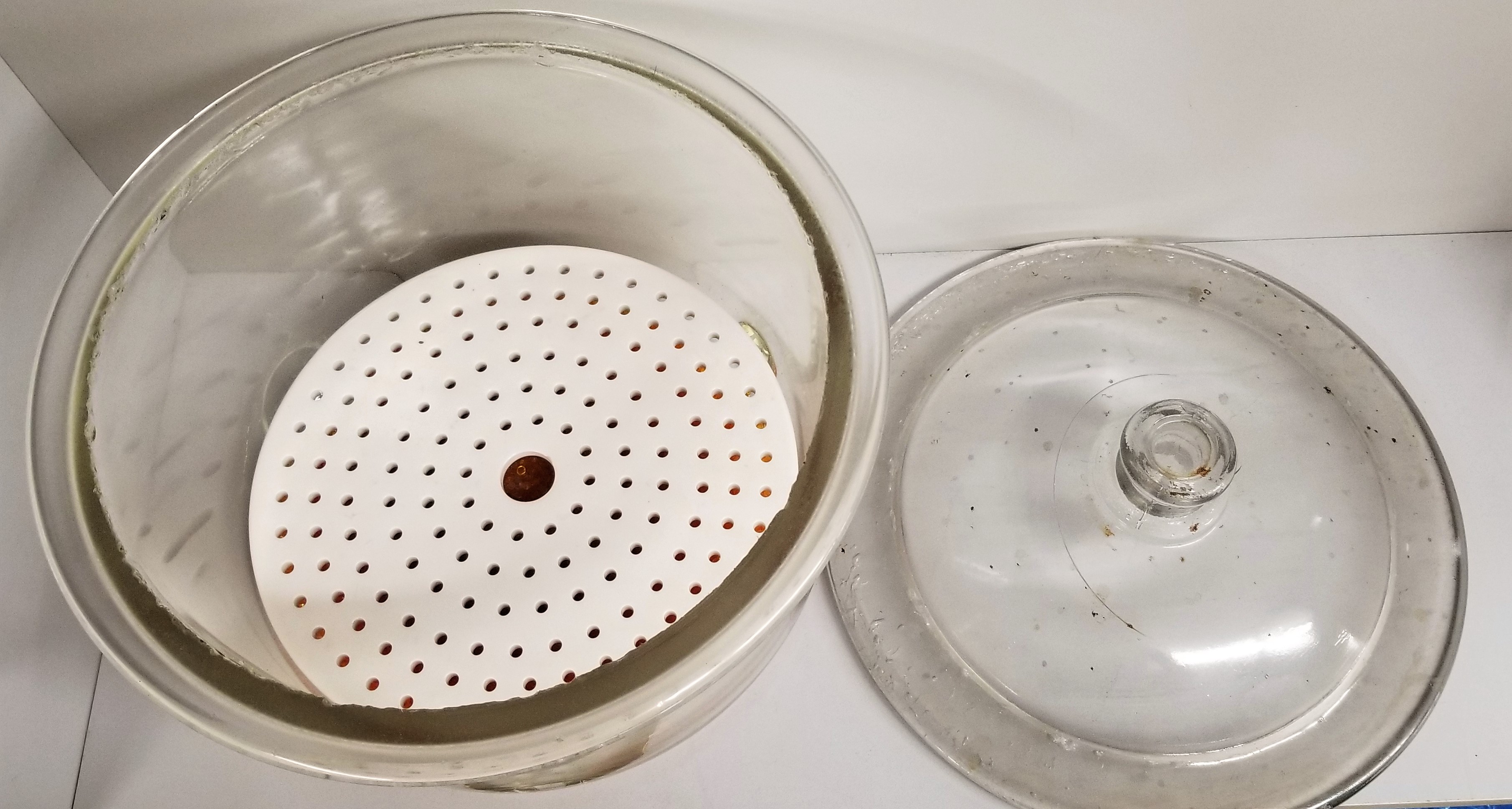 二手康宁Pyrex 250毫米ID玻璃干燥器，带有彩色板材销售在化学rg咨询... - bob手机版app下载,BOB体育官方APPios下载